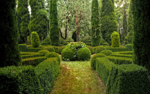 City sanctuary: using hedges to bring nature to your home - West London ...
