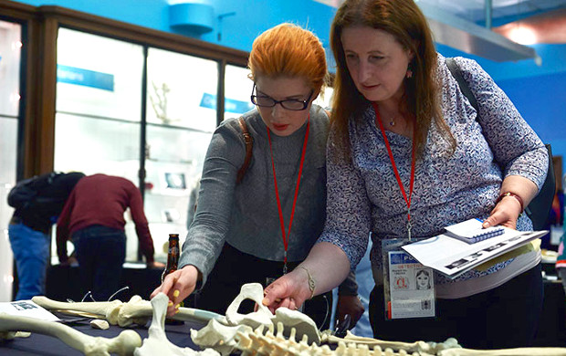 Natural History Museum - West London Living